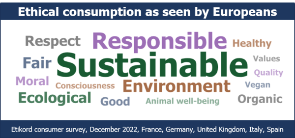 The essence of ethical consumption